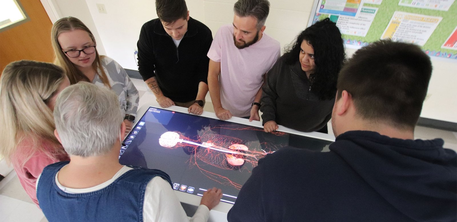 Pre-Physician Assistant | Commonwealth University