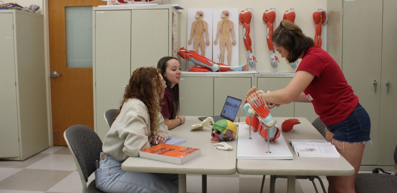 Pre-Athletic Training | Commonwealth University