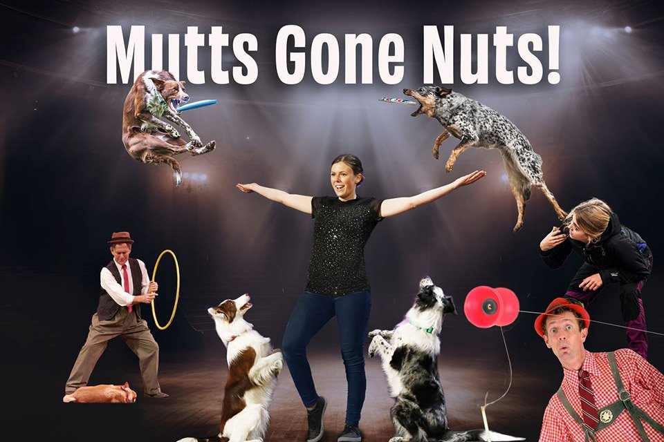 Arts in Bloom: Mutts Gone Nuts | Commonwealth University